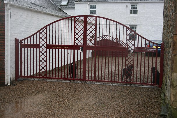 Driveway Arched Gates · David Ogilvie Engineering · Street, Park ...